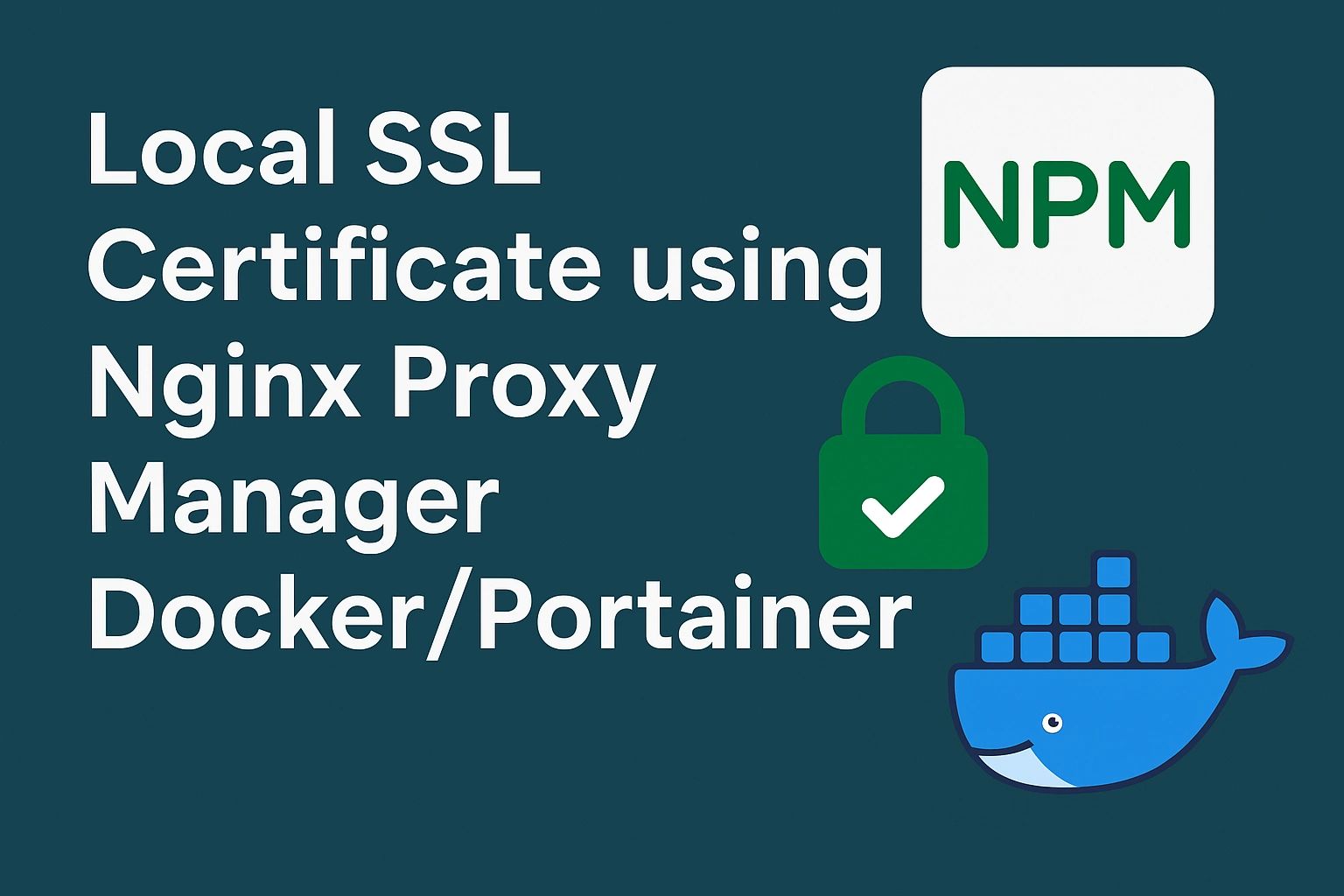 Local SSL Certificate using Nginx Proxy Manager Docker/Portainer